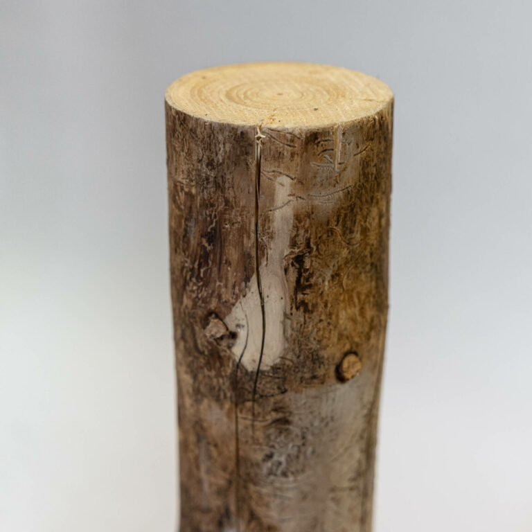 Boomstam vanaf 175 t/m 300cm | Ø 8-9cm | Decoratietakken